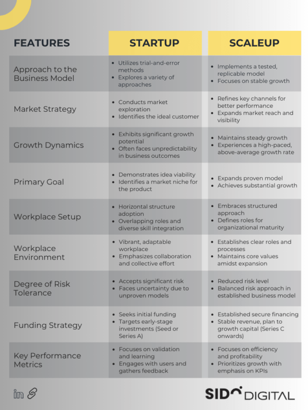 What Is a Scaleup Company and How It's Different from a Startup